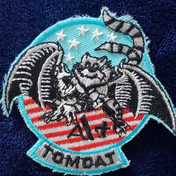 US Navy | Accessories | Vintage New Us Navy Tom Cat F4 Bat Wings ...